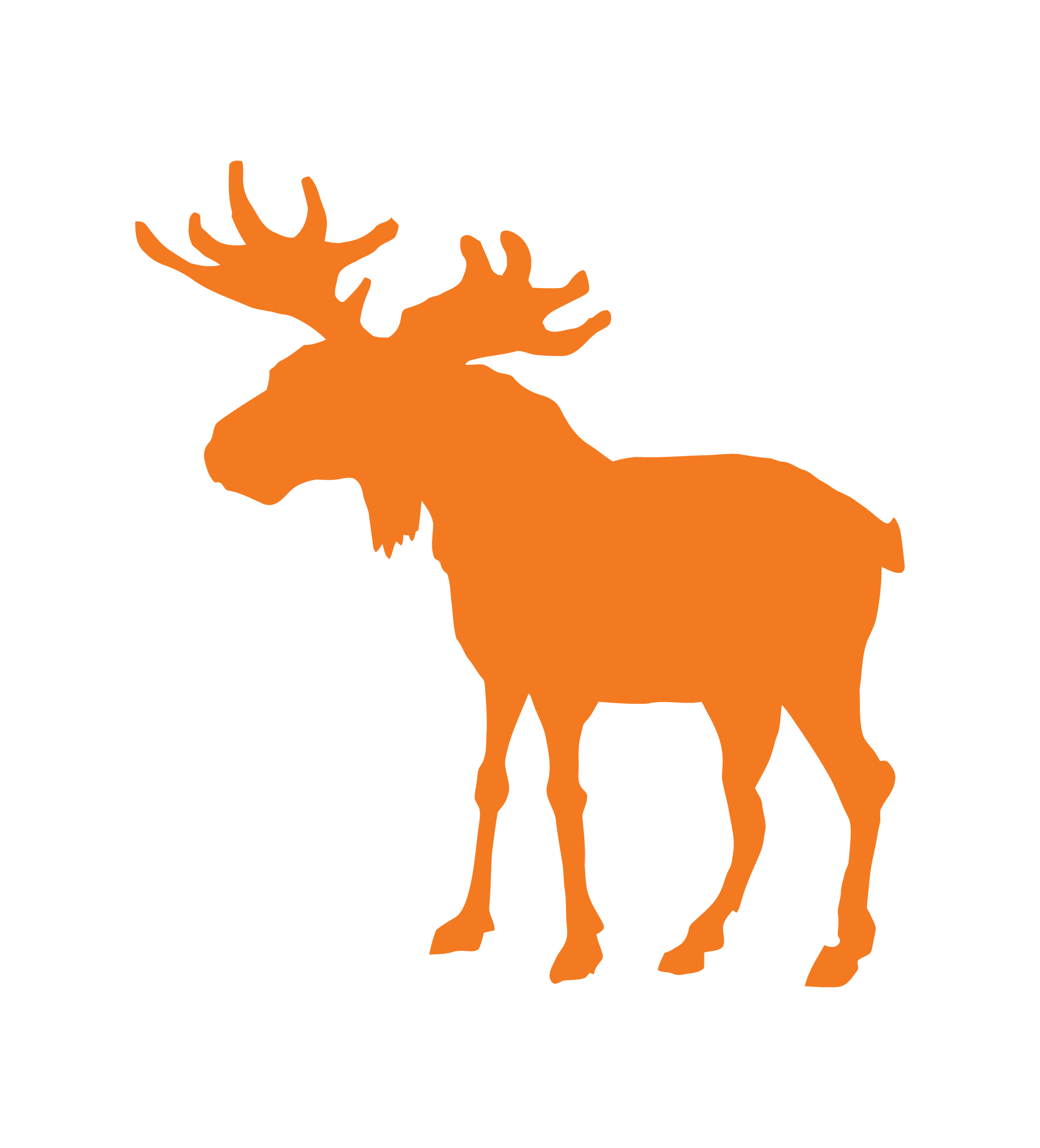 Introducing Our Charity Partner - bigmoose